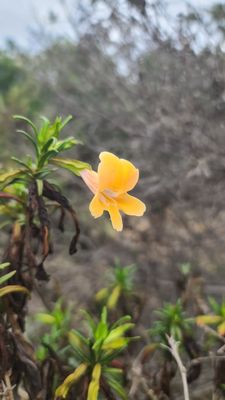 UCI RESEARCH PARK - Updated December 2025 - 20 Photos - 5301 California ...