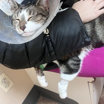 WILSON VETERINARY HOSPITAL - Updated December 2025 - 61 Photos & 327 ...