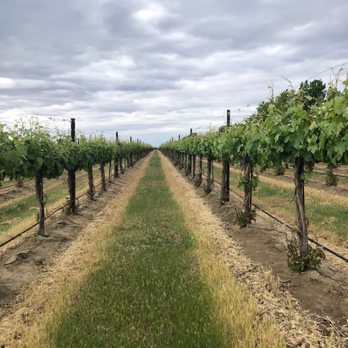 GOOSE RIDGE VINEYARDS - Updated July 2024 - 90 Photos & 64 Reviews ...