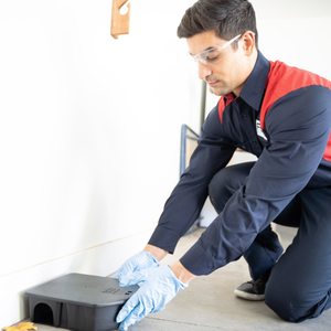 MEERKAT PEST CONTROL - Updated October 2025 - 62 Reviews - 12 Petra Ln ...