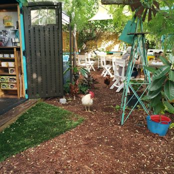 IRIE ISLAND EATS - Updated May 2024 - 161 Photos & 113 Reviews - 4540 Overseas Hwy, Marathon ...