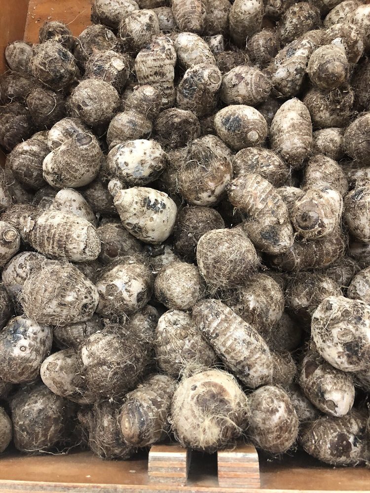 H&L ASIAN MARKET - 192 Photos & 105 Reviews - International Grocery ...