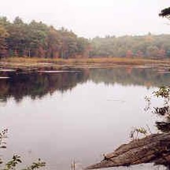 WINDHAM RAIL TRAIL - Updated October 2025 - 31 Photos & 19 Reviews - 6 ...