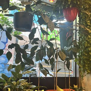 TEADO TEA SHOP - Updated March 2025 - 628 Photos & 544 Reviews - 145D ...