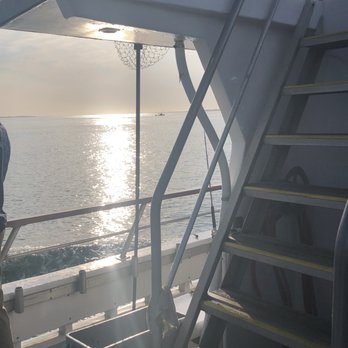 CAPTREE PRINCESS - Updated December 2025 - 60 Photos & 41 Reviews ...