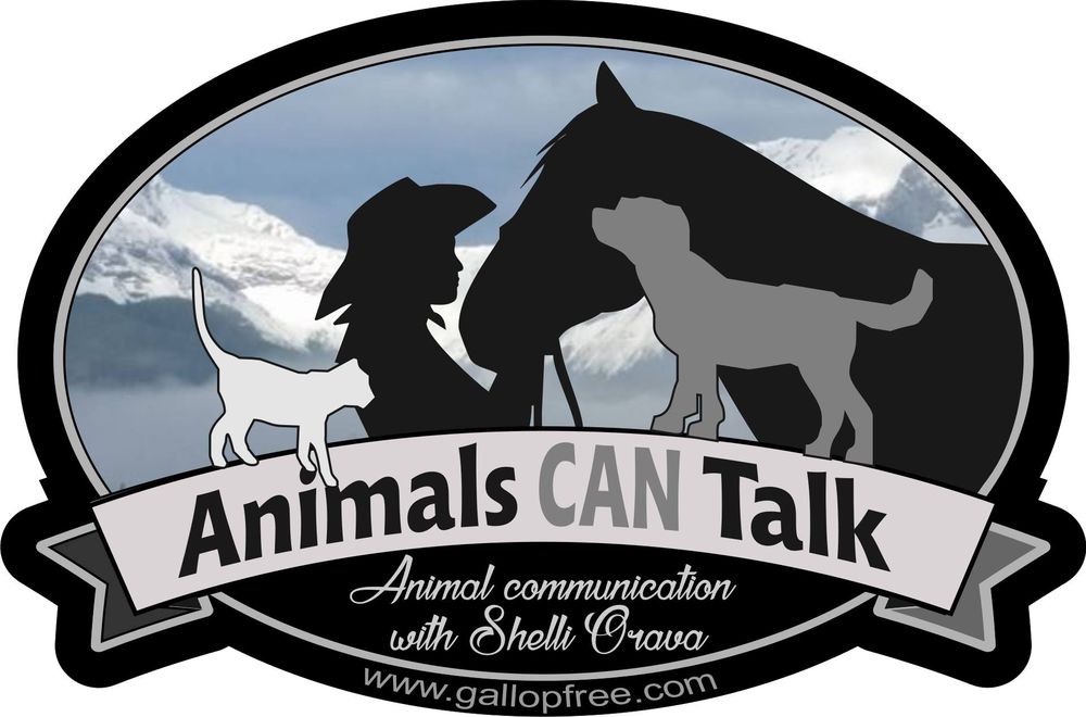 ANIMALS CAN TALK - Updated May 2026 - Brûlé, Alberta - Holistic Animal ...