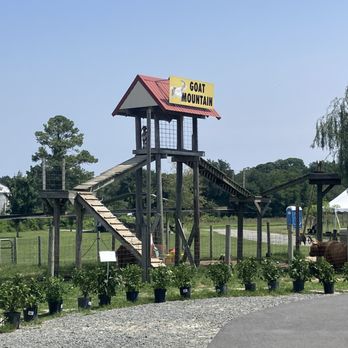 PARSONS FARMS PRODUCE - Updated October 2025 - 110 Photos & 43 Reviews ...