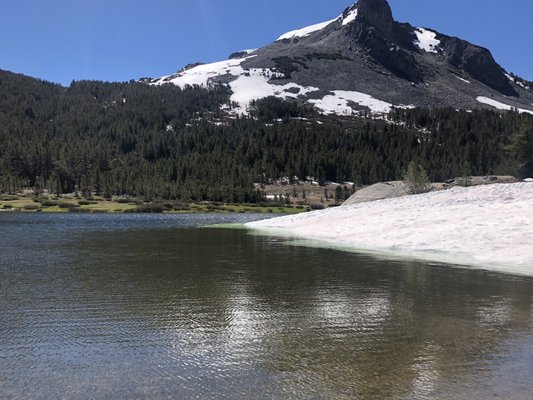 TIOGA LAKE CAMPGROUND - Updated August 2025 - 10 Reviews - Tioga Pass ...