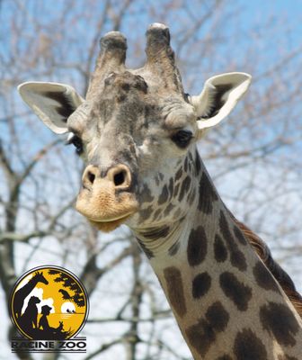 RACINE ZOO - Updated August 2025 - 132 Photos & 86 Reviews - 2131 N ...