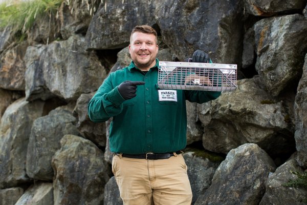 PARKER ECO PEST CONTROL - Updated December 2025 - 87 Photos & 212 ...