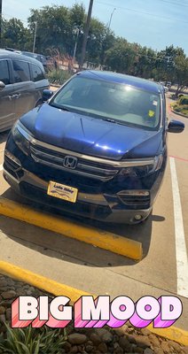 LUTE RILEY HONDA - Updated October 2025 - 79 Photos & 446 Reviews ...