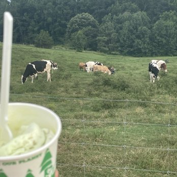 Book a Table - Howling Cow Dairy Education Center and Creamery ...