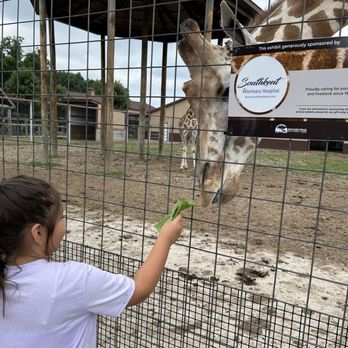 BOULDER RIDGE WILD ANIMAL PARK - Updated November 2025 - 151 Photos ...
