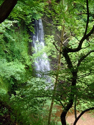 FALLING FOSS TEA GARDEN - Updated March 2025 - Midge Hall, Whitby ...