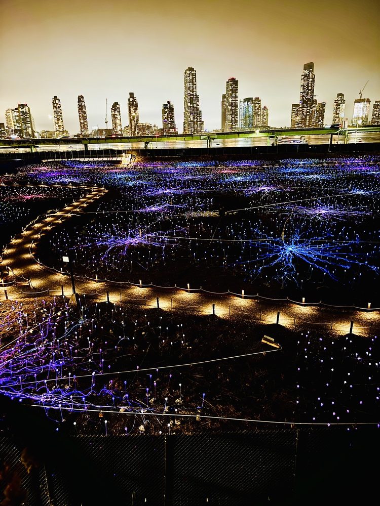 FIELD OF LIGHT AT FREEDOM PLAZA - 686 1st Ave, New York, New York ...