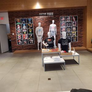 Home Decor - TREES POTS & PLANTS - 21 Photos - 124 James St, Venice ...