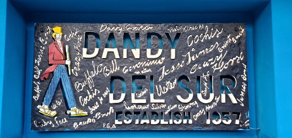 DANDY DEL SUR - Updated November 2025 - 175 Photos & 85 Reviews ...