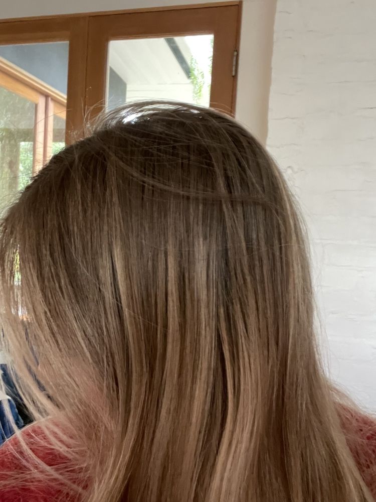 ECO COLOR LAB - Updated November 2025 - 22 Photos & 61 Reviews - 2924 ...