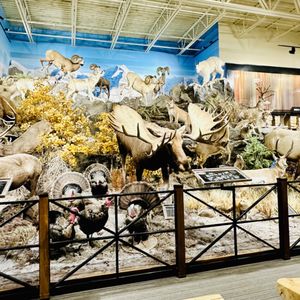 REI - Updated September 2025 - 79 Photos & 55 Reviews - 412 S 27th St ...