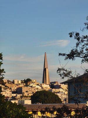 CHELSEA INN - Updated October 2025 - 50 Photos & 128 Reviews - 2095 ...