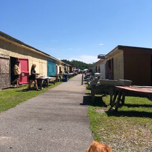 JAMESTOWN FLEA & FARMERS MKT - Updated October 2025 - 709 Jamestown Rd ...