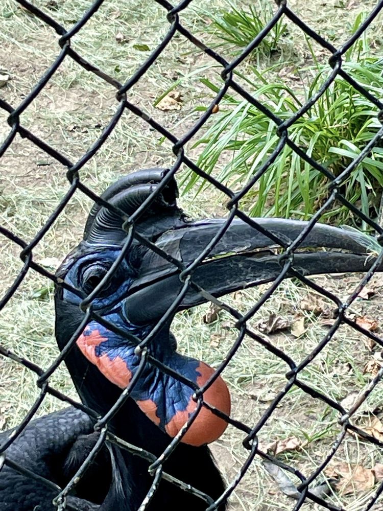 MESKER PARK ZOO & BOTANIC GARDEN - Updated October 2025 - 255 Photos & 43 Reviews - 1545 Mesker ...