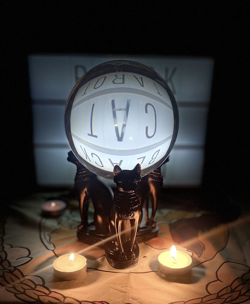 BLACK CAT TAROT - Updated August 2025 - 13 Photos - 504 E Denny Way ...