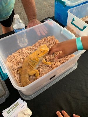 REPTILE RON ANIMAL PRESENTATIONS - 35 Photos - Clovis, California ...