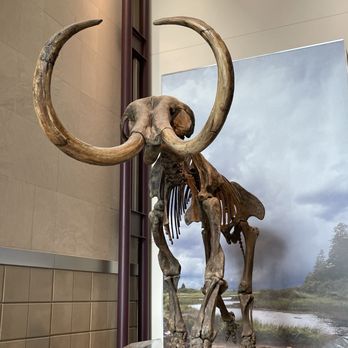 MILWAUKEE PUBLIC MUSEUM - Updated December 2025 - 658 Photos & 201 ...