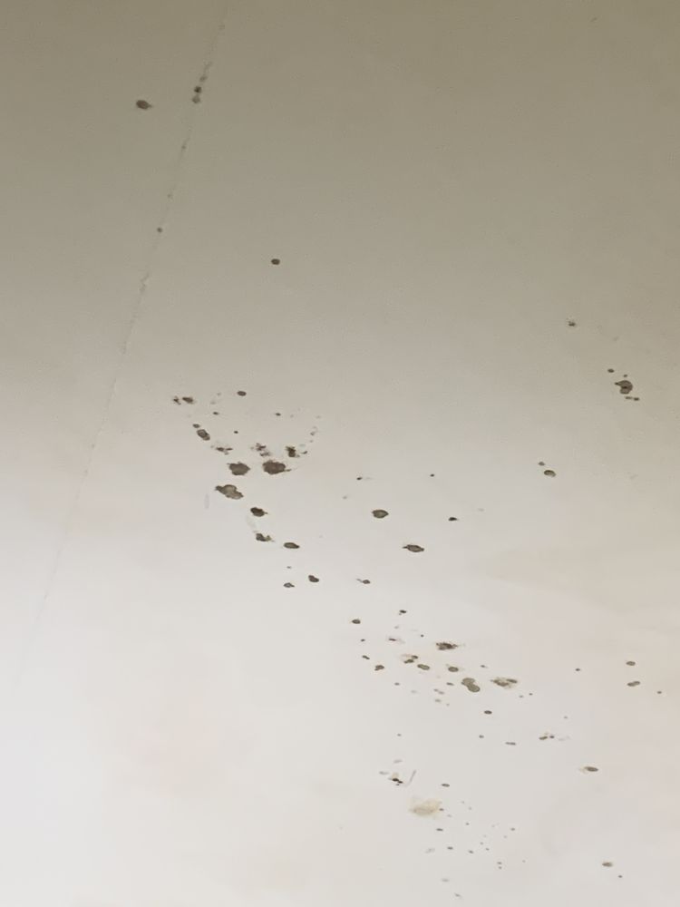 QUALITY INN FREDERICKSBURG, CENTRAL PARK AREA - Updated October 2025 ...