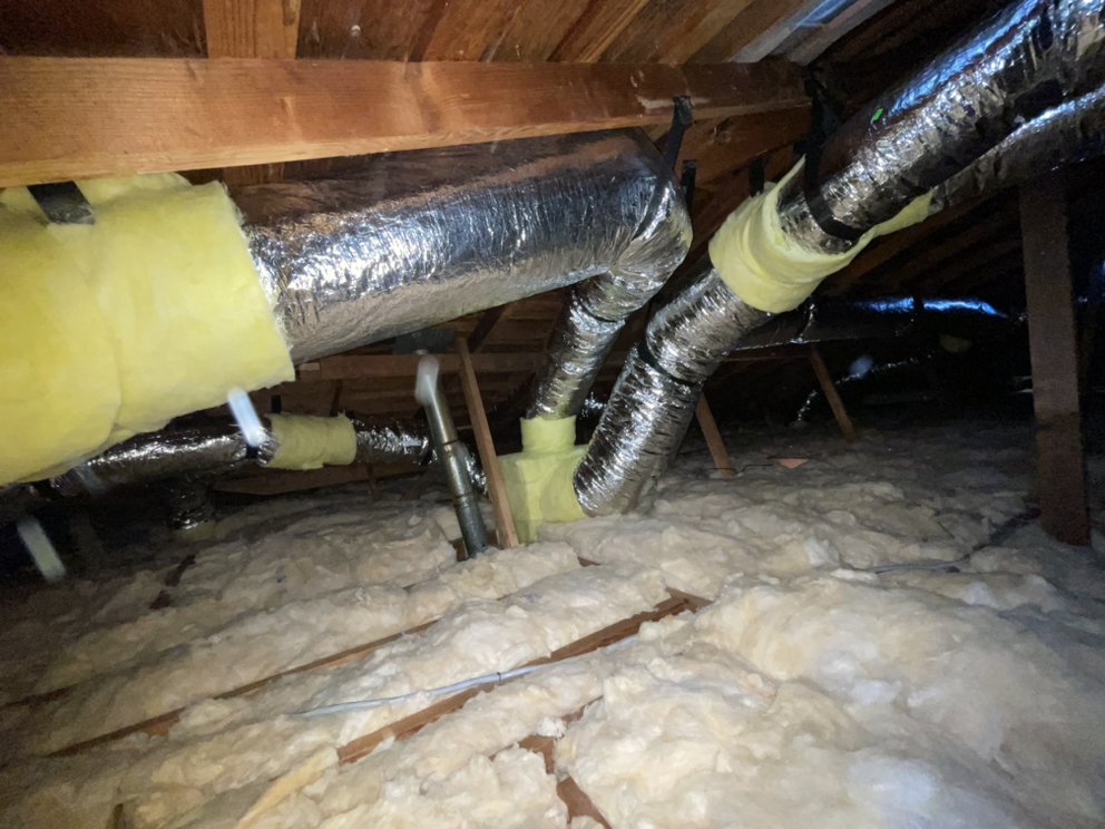 PRO INSULATION & RODENTS - Updated August 2024 - 192 Photos & 14 Reviews - San Jose, California ...