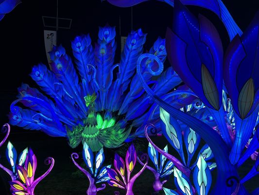 STOCKTON LANTERN FESTIVAL MAGIC FOREST - Updated January 2025 - 42 ...