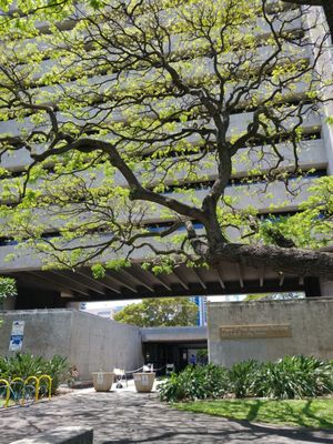 FRANK F. FASI MUNICIPAL BUILDING - Updated November 2025 - 28 Photos ...