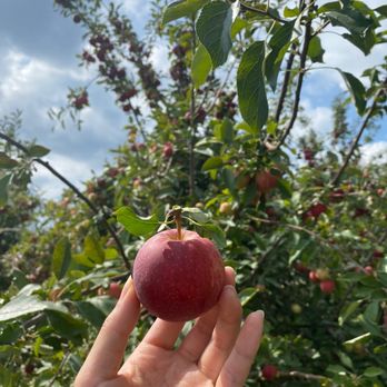 PATTERSON FRUIT FARM - Updated August 2024 - 195 Photos & 126 Reviews ...