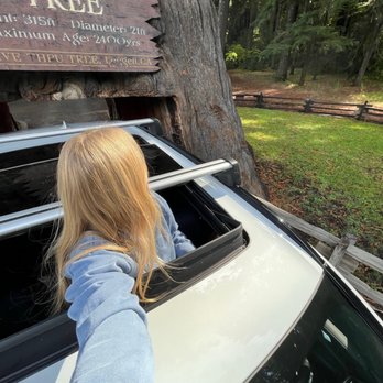 DRIVE-THRU TREE - Updated June 2025 - 581 Photos & 200 Reviews - 67402 ...