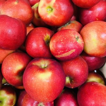 BUTLER’S ORCHARD - Updated August 2024 - 706 Photos & 391 Reviews ...