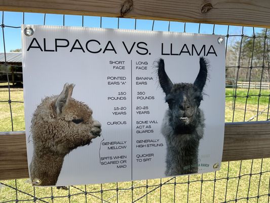 GOOD KARMA RANCH ALPACAS - Updated August 2025 - 47 Photos & 13 Reviews ...