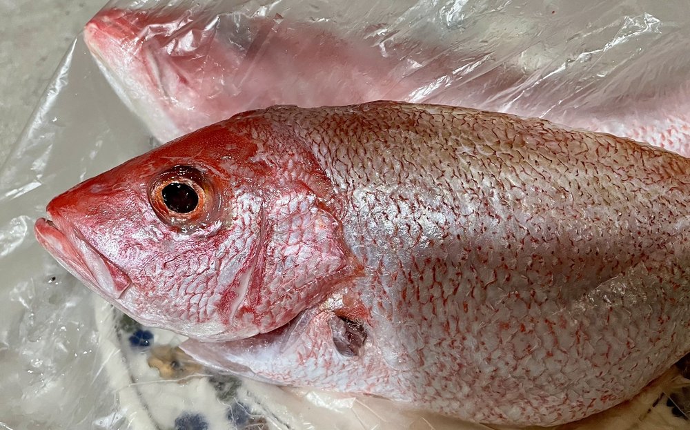 FORDHAM FISH MARKET - Updated December 2025 - 52 Photos & 11 Reviews ...