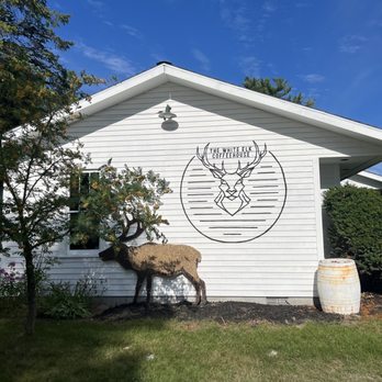 THE WHITE ELK COFFEE HOUSE - Updated April 2026 - 11 Photos & 12 ...
