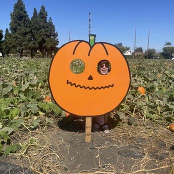 HANA FIELD BY TANAKA FARMS - Updated May 2024 - 301 Photos & 141 ...