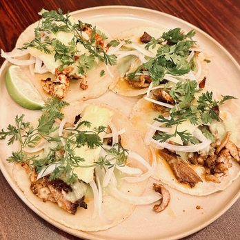 CHICATANA FINE MEXICAN CUISINE - Updated 05/2025 - 191 Photos & 83 ...