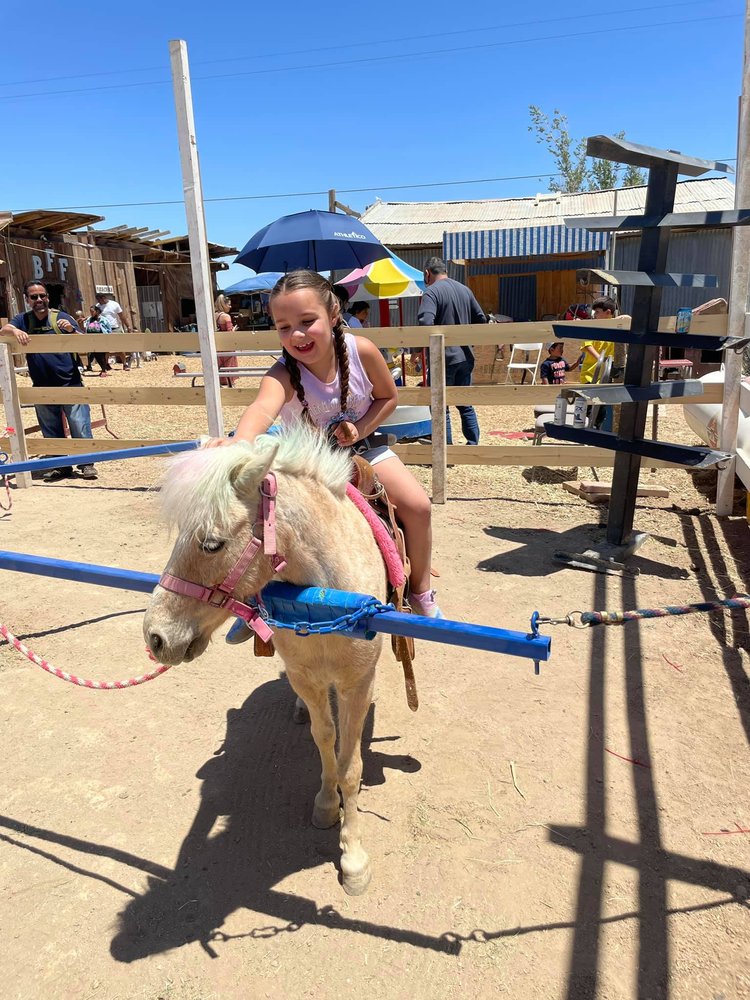 BARBER FAMILY FARM - 253 Photos & 24 Reviews - 45620 30th St E ...