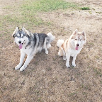 THE RUFF RANCH - Updated December 2025 - 61 Photos & 67 Reviews - 1553 ...