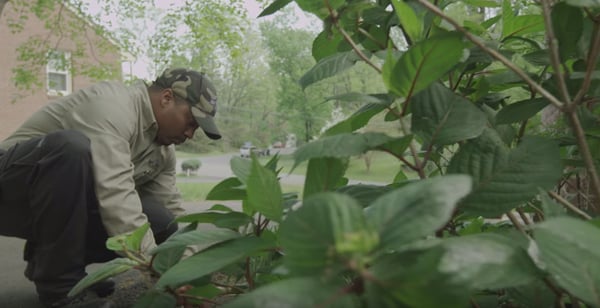 ARTERIX PEST CONTROL - Updated September 2024 - 28 Photos & 185 Reviews ...