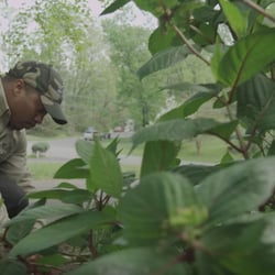 ARTERIX PEST CONTROL - 18 Photos & 111 Reviews - Rockville, MD - Yelp