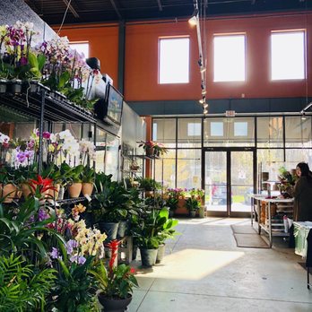 OBERER’S FLOWERS - 102 Photos & 107 Reviews - 12761 Old Meridian St ...
