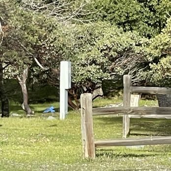 KQ RANCH - Updated July 2025 - 540 Photos & 275 Reviews - 449 Kq Ranch ...