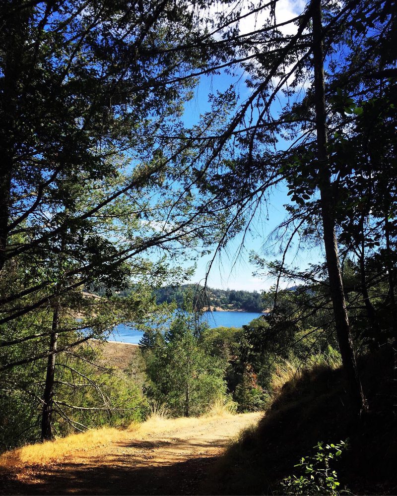 BON TEMPE LAKE - Updated September 2025 - 102 Photos & 28 Reviews - Sky ...