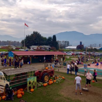 CHILLIWACK CORN MAZE - Updated December 2025 - 27 Photos & 11 Reviews ...