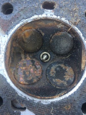 AM AUTO PARTS - 24 Photos & 80 Reviews - 7526 Lithia Pinecrest Rd ...